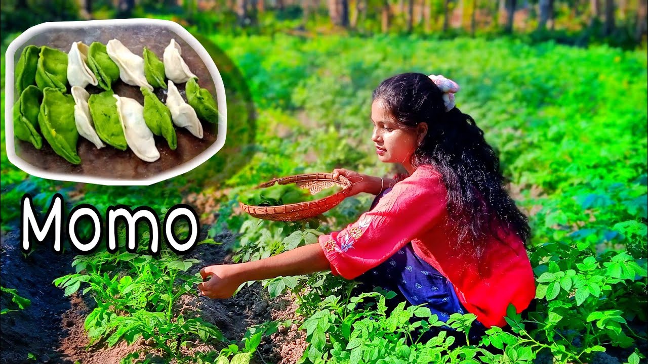 Making COLORFUL MOMOS at home. Village Cooking. SIKHA TALES. - YouTube