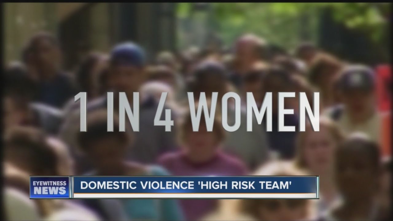 Erie County forms Domestic Violence 'High Risk Team' - YouTube