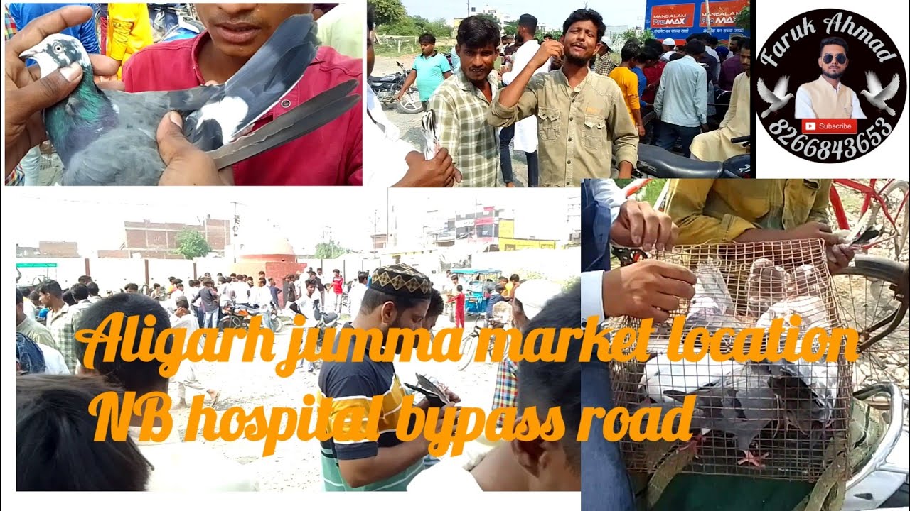 Aligarh Friday market 2:30 pm time' location NB hospital quarsi bypass ...