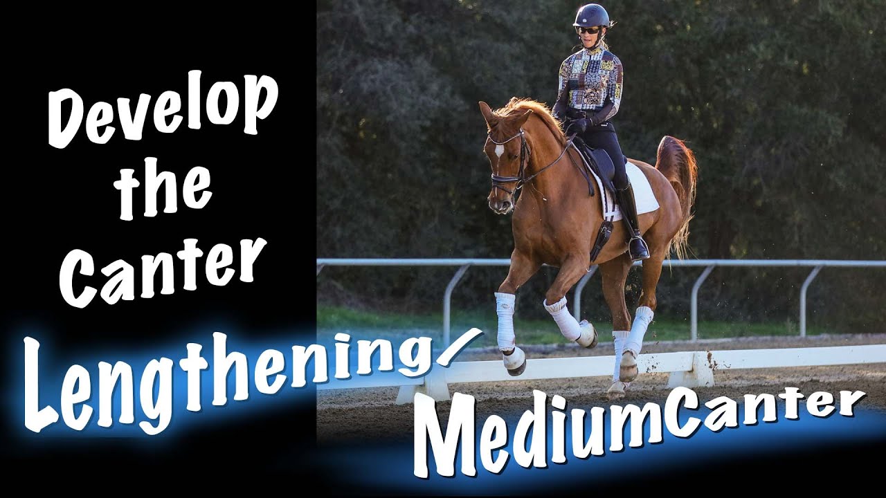 Develop the Canter Lengthening/ Medium Canter - YouTube