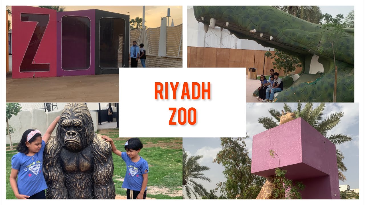 Riyadh zoo/Saudi’s biggest zoo/Faya’s world - YouTube