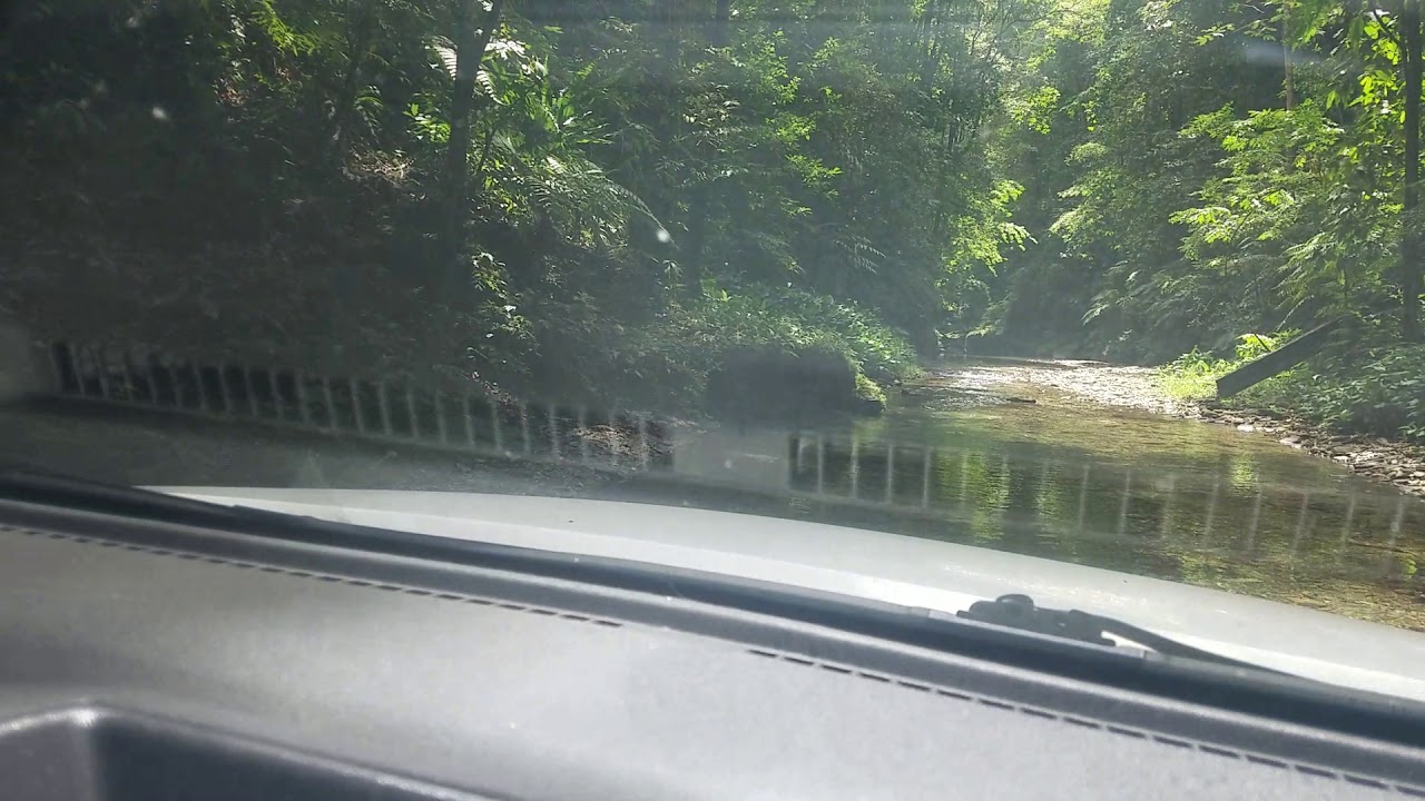 Marianne river trinidad - YouTube