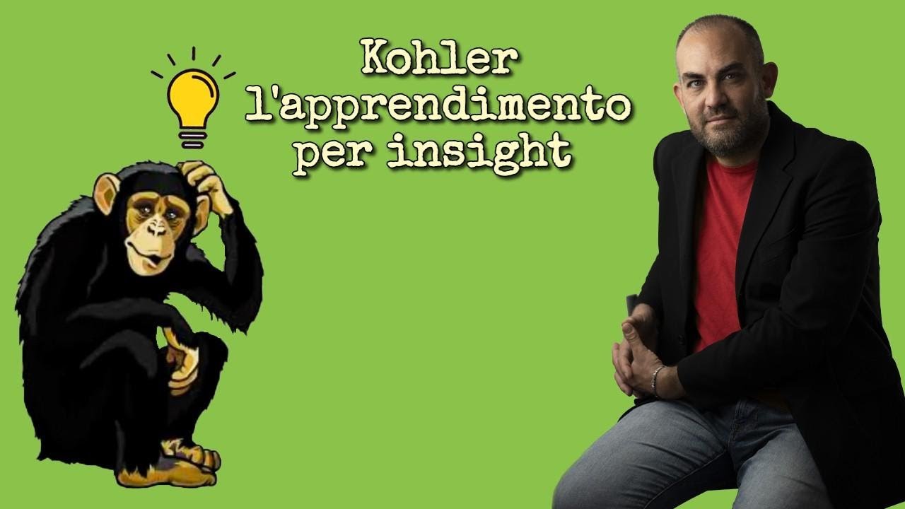 Köhler: l'apprendimento per insight - YouTube