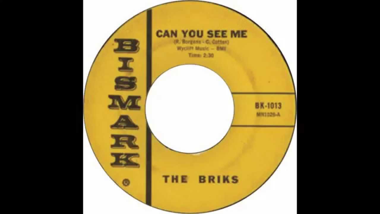 The Briks - Can You See Me - YouTube