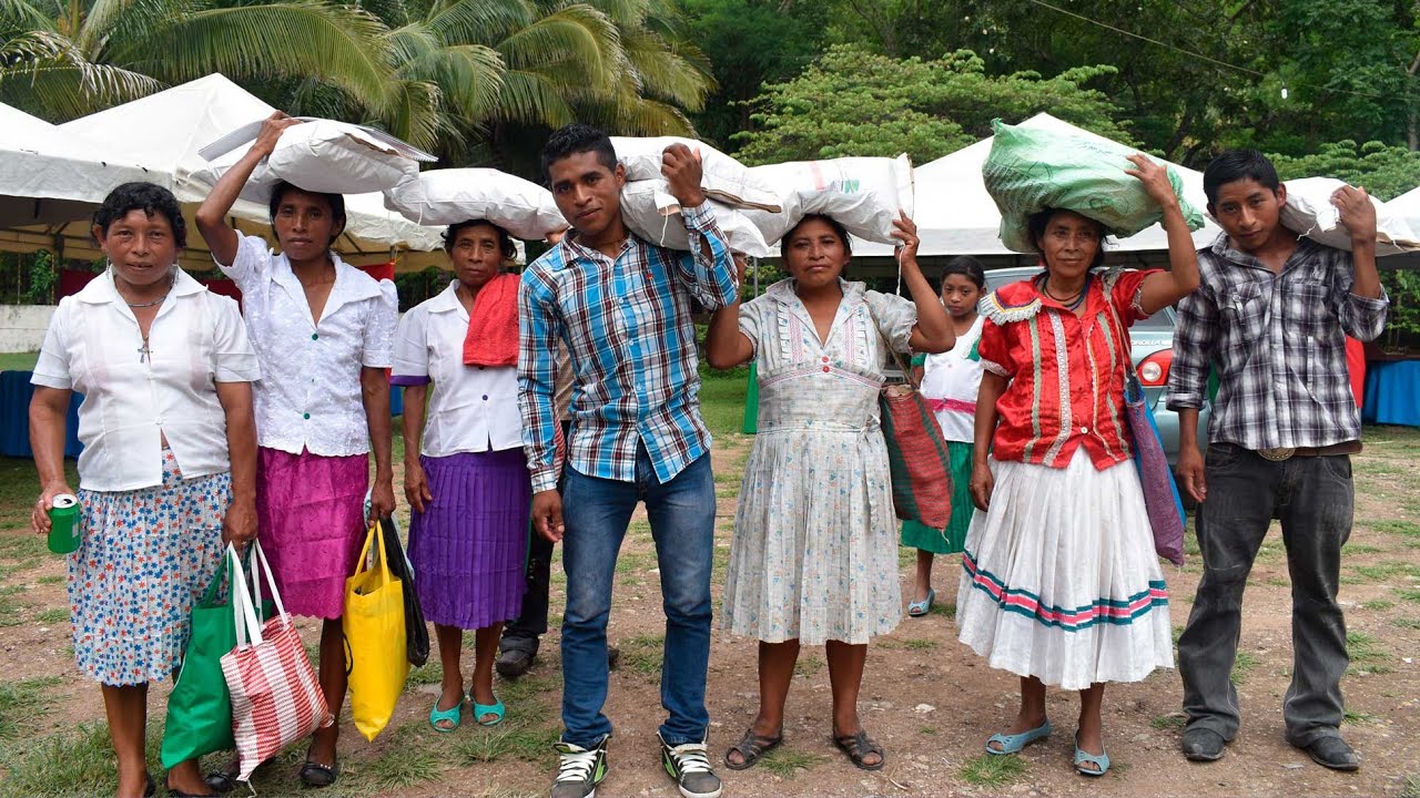 BIOFORT PLATFORM: THE NUTRITIOUS PATH TO THE GUATEMALAN DIET - YouTube