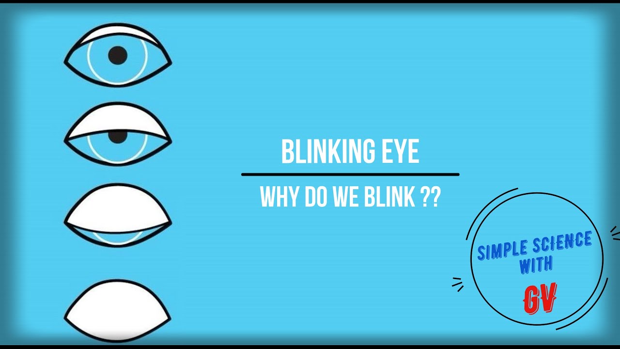 Why Do We Blink ? Explained !! | KIDS | #Blink| Education - YouTube