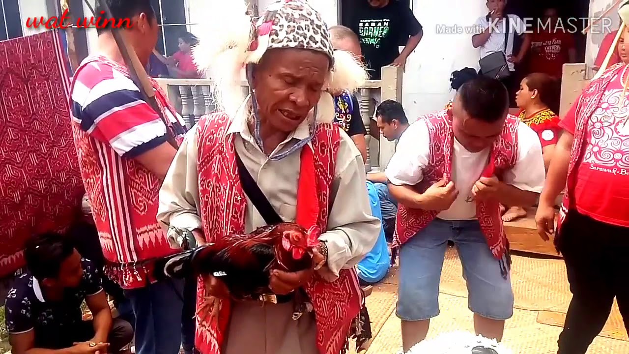 Gawai Sandau Ari Part 2 Akhir#Penilikan Nasib Melalui Hati#Nasib Atau ...