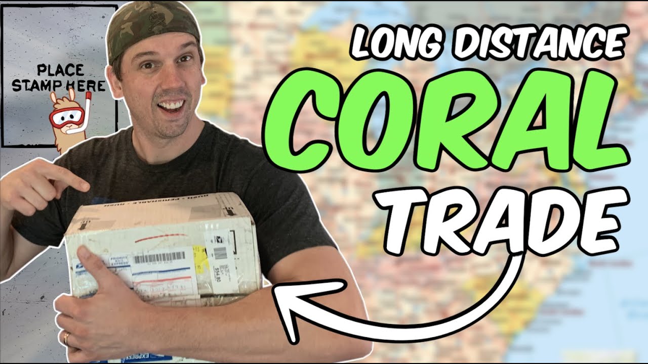 How To Trade Coral With A Reefing Hobbyist 1,100 Miles Away (Shipping ...