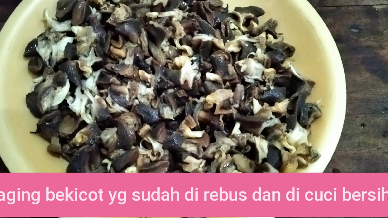 Tumis daging bekicot dower - YouTube