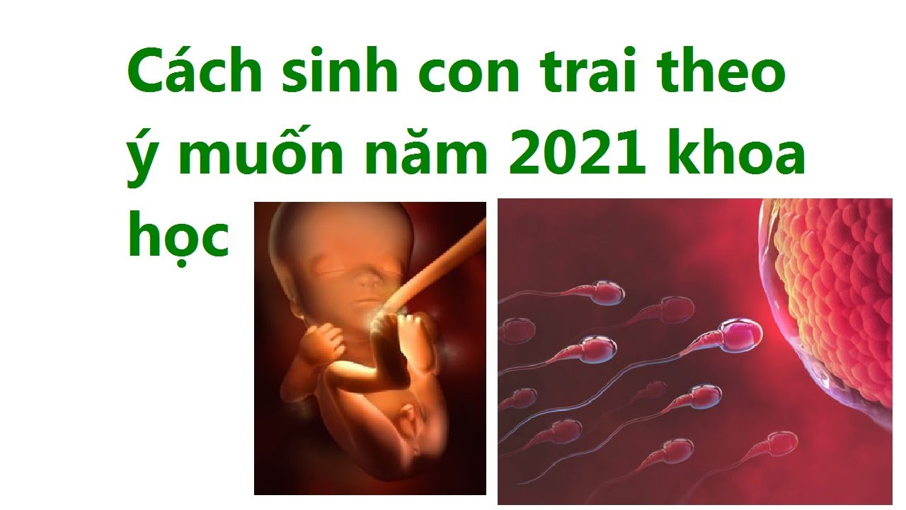 cách sinh con trai theo ý muốn năm 2021 khoa học _ cách sinh con trai ...