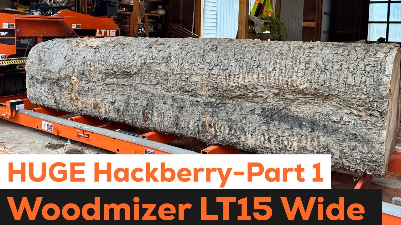 HUGE Hackberry Log Part 1 - YouTube