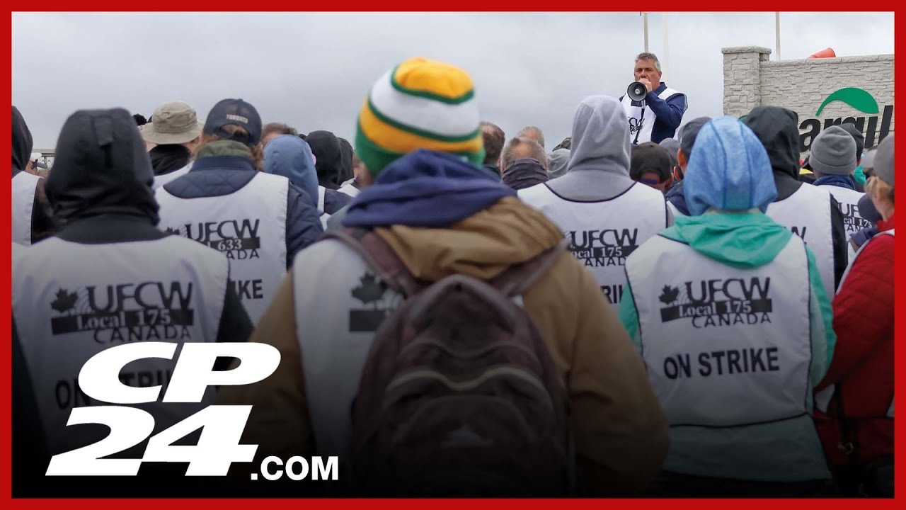 Strike at Cargill beef processing plant in Guelph worries farmers - YouTube