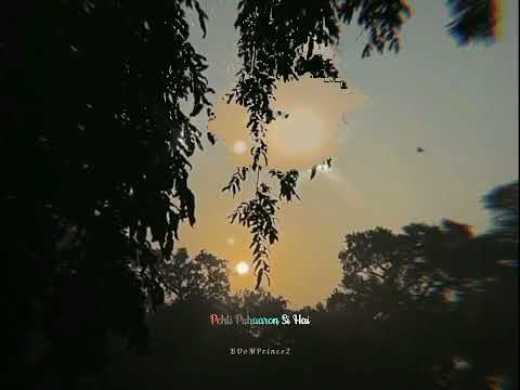 mausam ke azad parindey status WhatsApp status