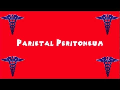 Pronounce Medical Words ― Parietal Peritoneum - YouTube
