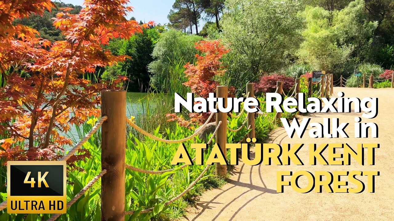 Relaxing Walking around ‘Atatürk Kent Forest’, Istanbul | Incredible ...
