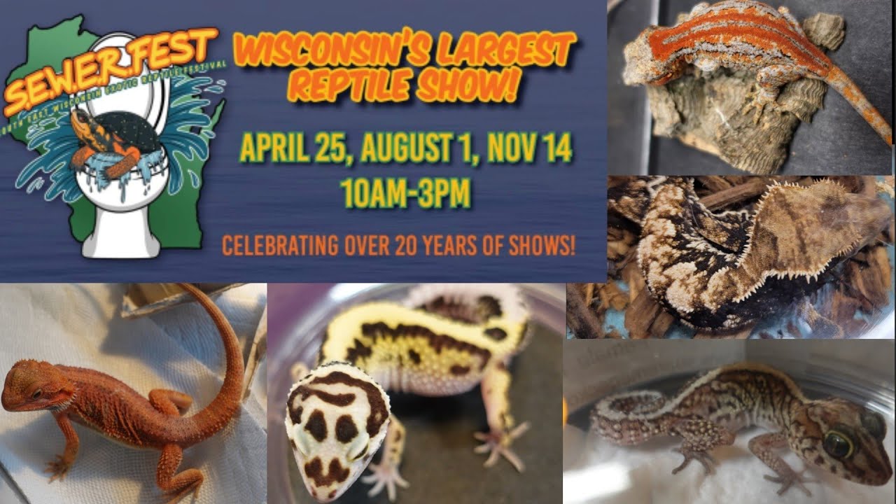 Sewerfest Reptile Show. November 14, 2021. - YouTube