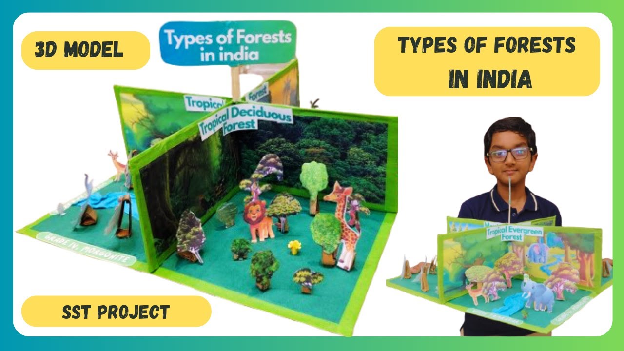 Types of forest 3D project | How to make forest model | Model on ...