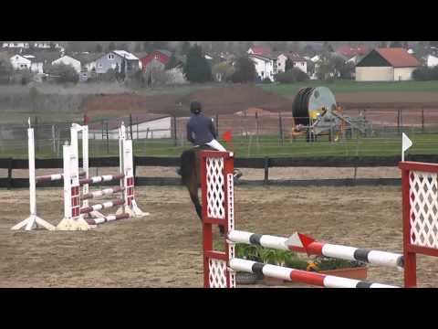 Sportpferde Johler Christofolini Sppf. A 1. Platz.MTS