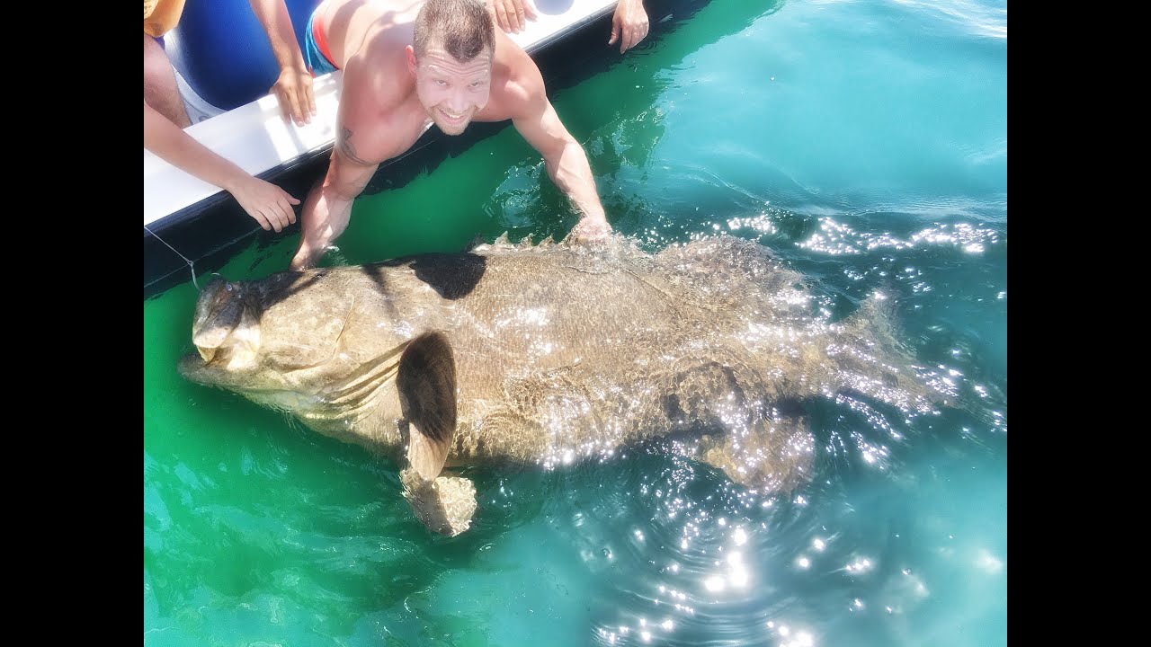 Amazing Deep Hole Fishing - How To Fishing With Deep Hole - Hand ...