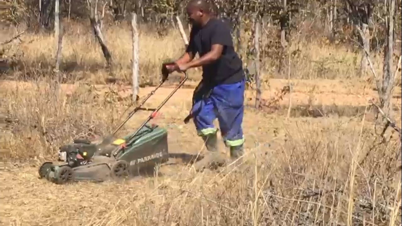 Farming Zimbabwe-Overlow Farm Mhondoro # Orchard Management #farming # ...