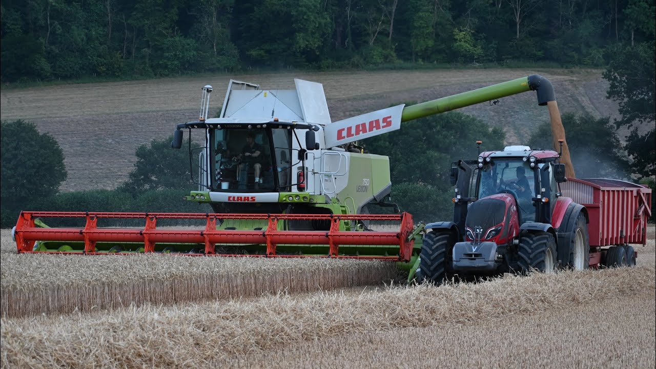 Harvest 2025 - Combining Wheat with TWO Claas Lexions and Valtras ...