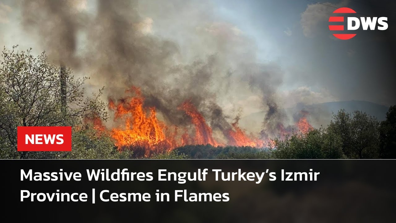 Watch: Raging Wildfires Engulf Turkey’s Cesme Region | Firefighting ...