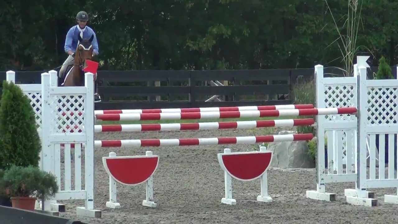 Carayan Z is 2nd out of 37 in $5,000 1.30M Princeton Show Jumping ...