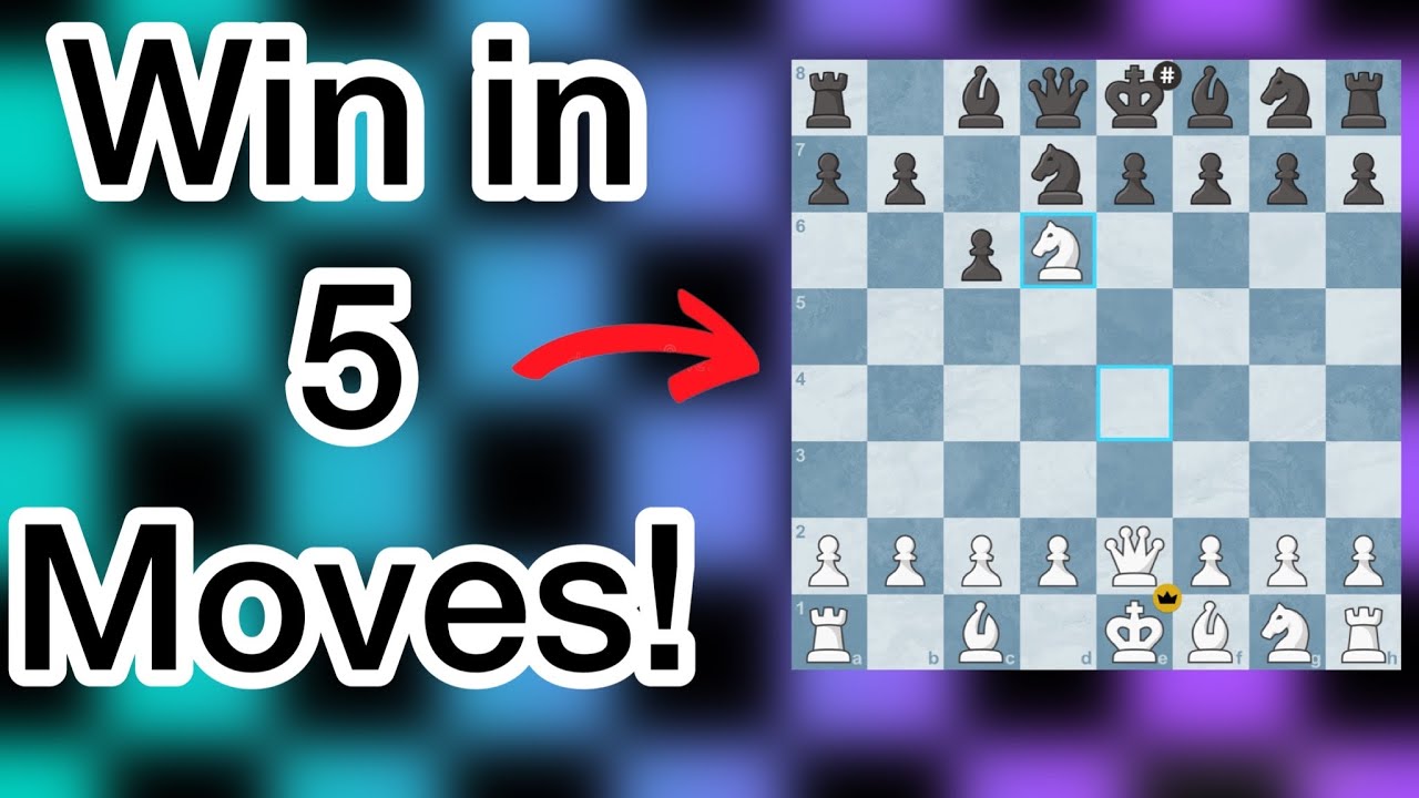 5 Best Chess Traps for Beginners - YouTube