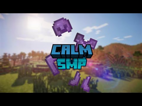 How I got Maxed Netherite on the Calm SMP