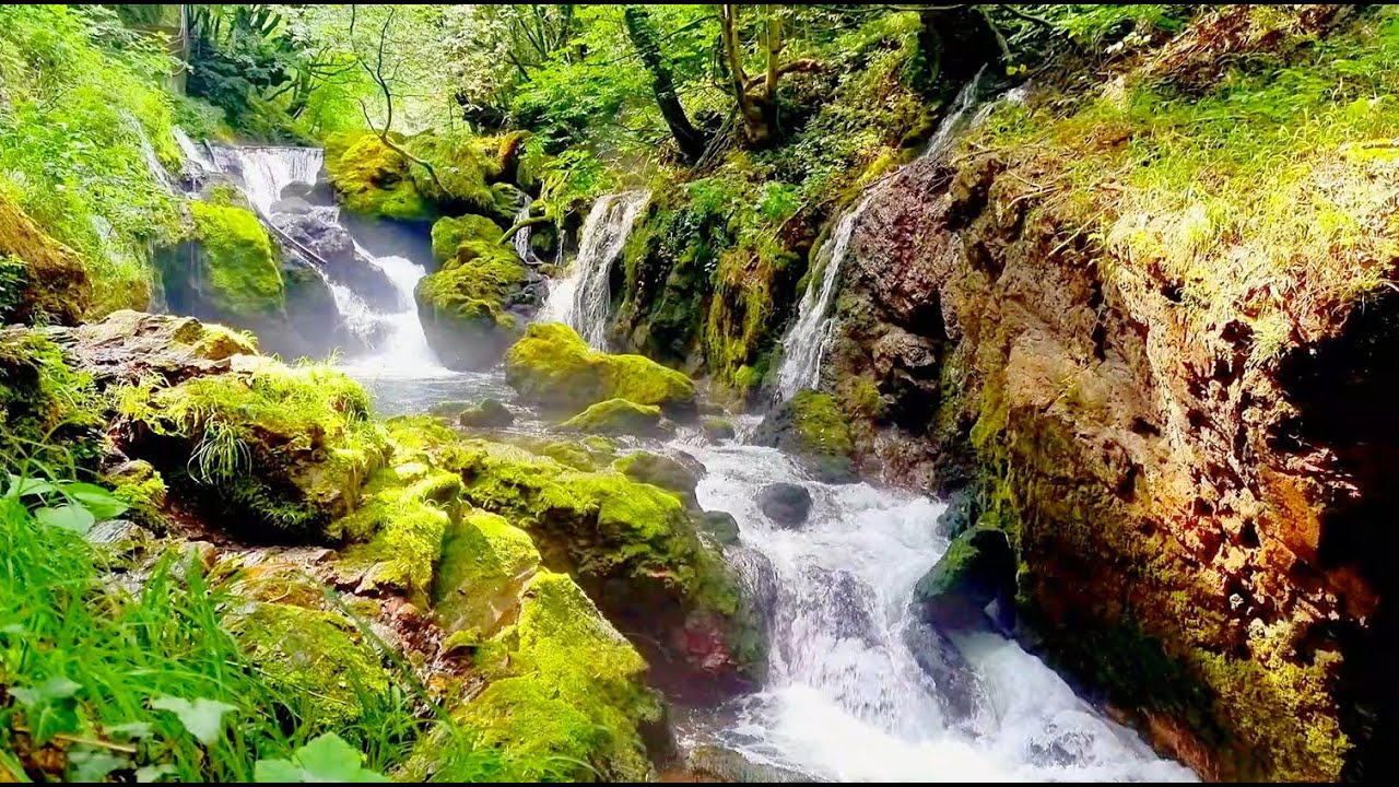 Wonderful River Melodies : Soothing Stream Sounds Flowing Over Rocks ...