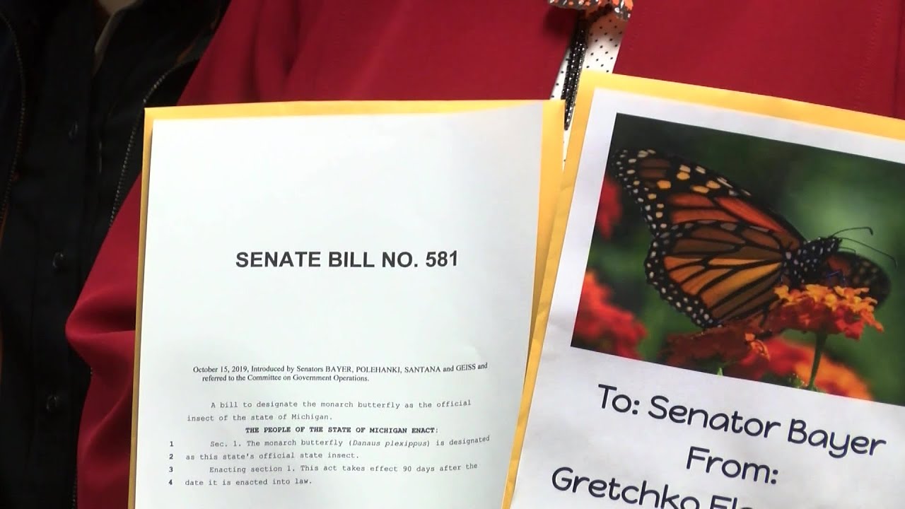 What will be the State Insect of Michigan?? - YouTube