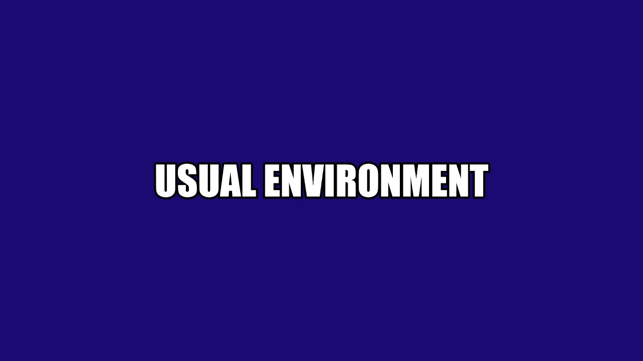 usual environment - YouTube