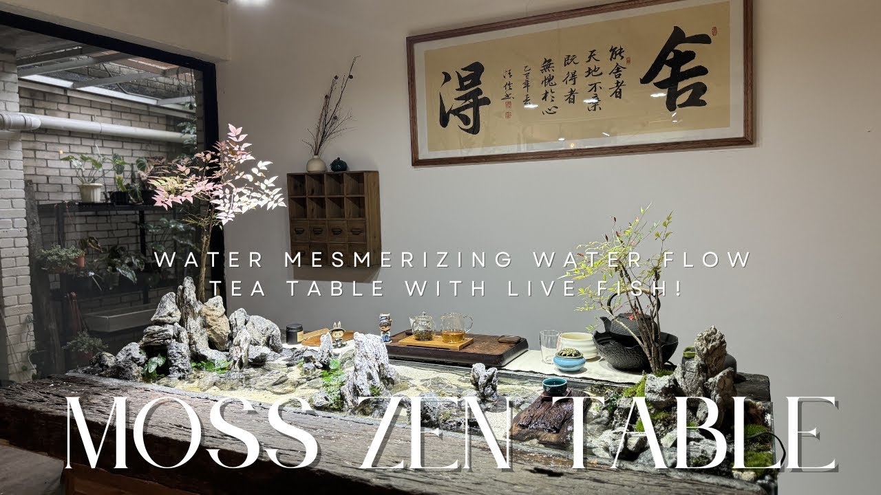 Mossarium Handmade Zen Tea Table with Flowing Water & Live Fish - YouTube