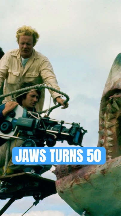 'JAWS' Turns 50 | Adrien Brody, Zoe Saldaña, Mikey Madison, & More On The Film's Impact #shorts ...