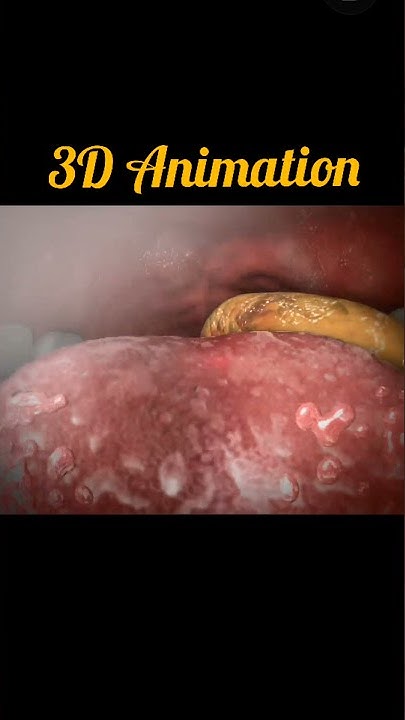 3D Animation Chewing and Swallowing । Easy Understanding । Problem Solved #animation #anatomy3d ...