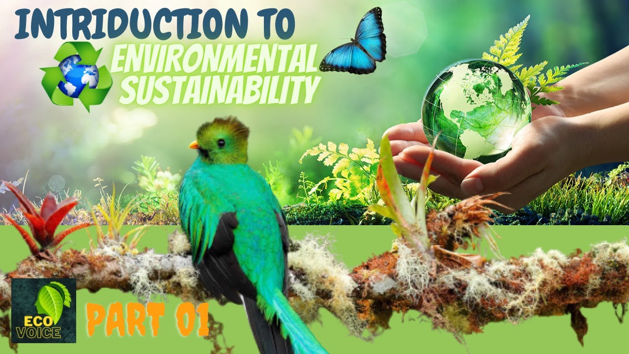 PART 01 INTRODUCTION TO ENVIRONMENTAL SUSTAINABILITY - YouTube