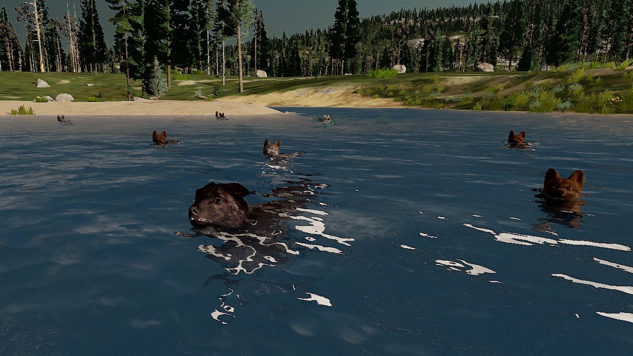 WolfQuest 3: Pups Swimming - YouTube