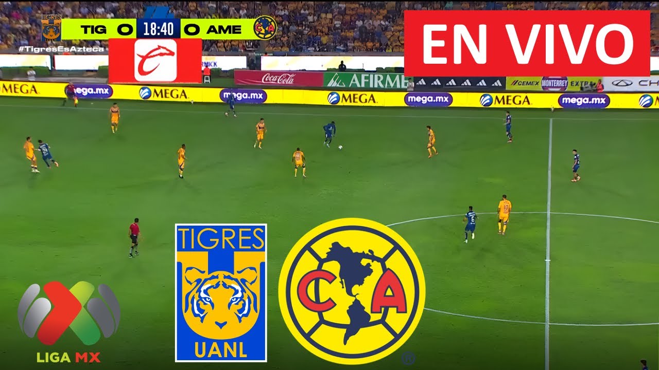 🔴 EN VIVO: Tigres vs América / Liga MX Apertura 2024 - Partido en vivo ...