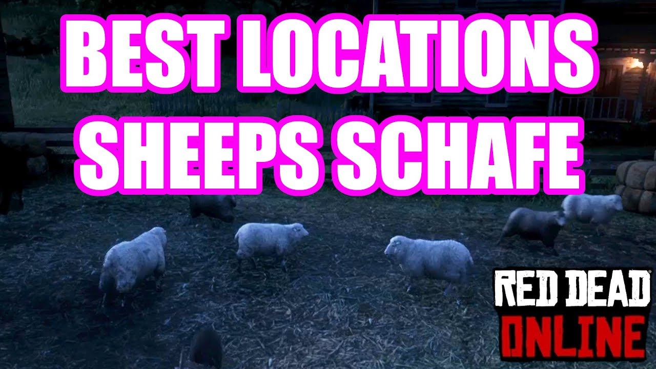 Best Locations Sheeps Schafe Red Dead Redemption 2 Online - YouTube