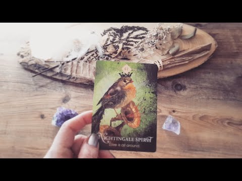 2 niyet 2 tarih 🍀aklindaki durum ne zaman olacak 🌿