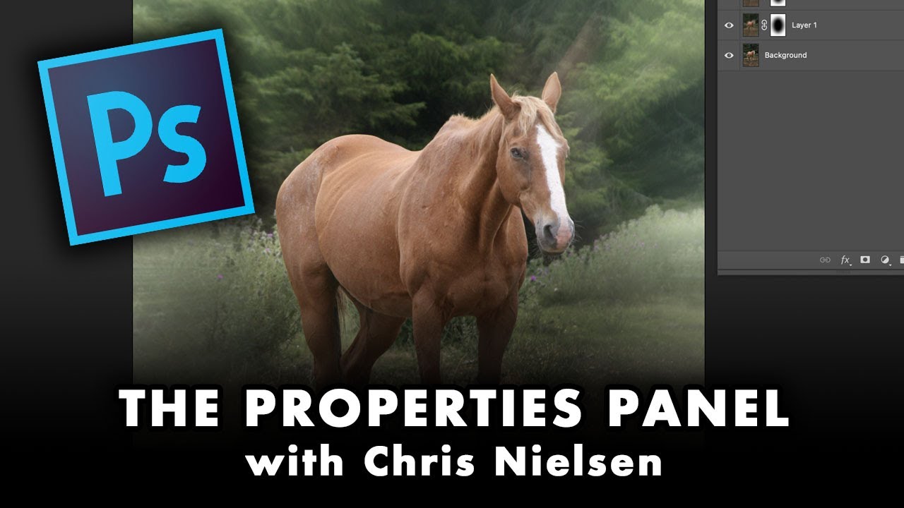 PS - Chapter 6 - Using the PROPERTIES PANEL to manage Layer Masks in ...