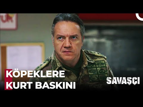 Buradan Bir İt Sürüsü Geçmiş - Savaşçı