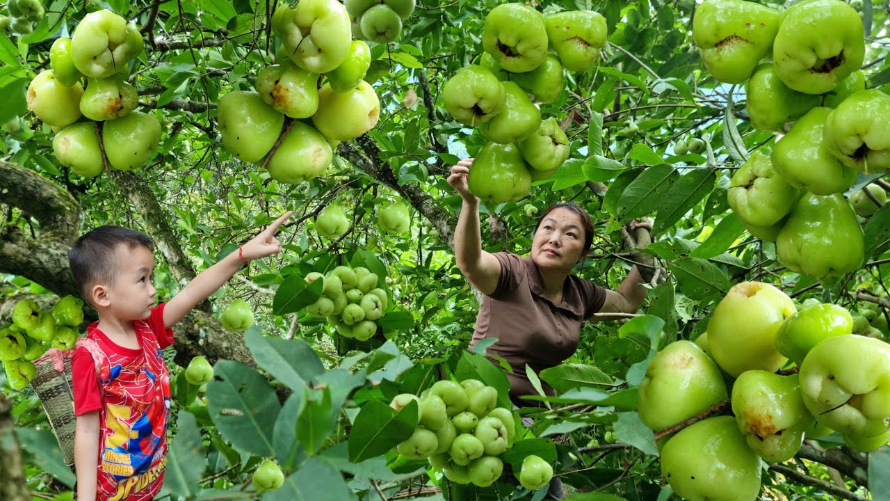 Full video: How to make chili bamboo shoots, peanut candy, and harvest ...