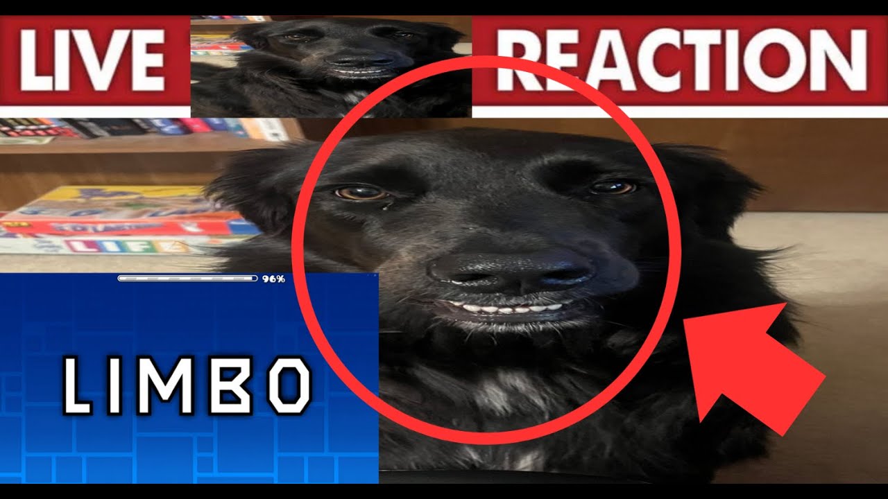 [JUMP FROM ARTIFICIAL ASCENT] // LIMBO 100% // 5TH EXTREME - YouTube