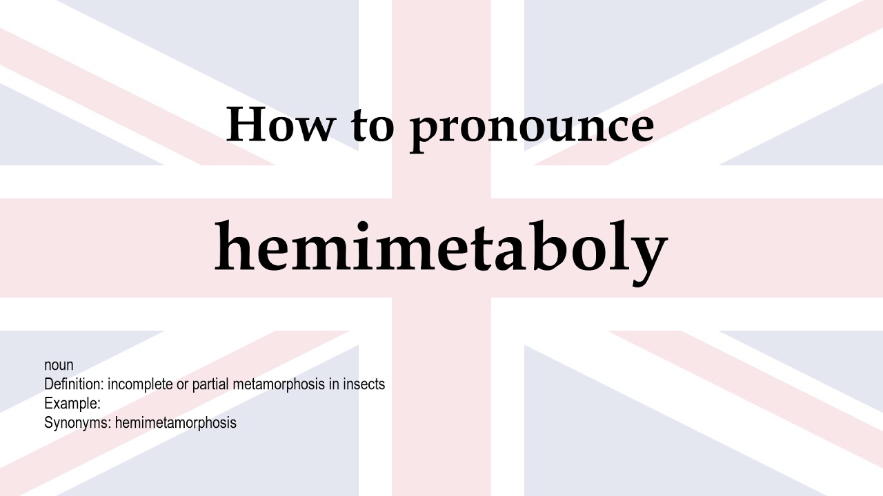 How to pronounce 'hemimetaboly' + meaning - YouTube