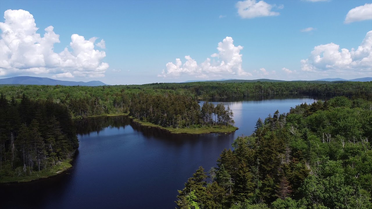 Branch Pond - YouTube