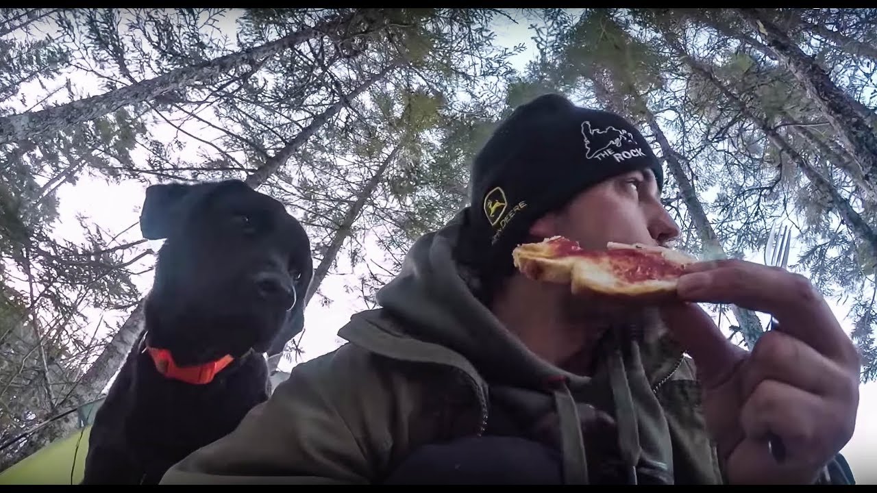 A Cold Spring Night in the Newfoundland Bush with Dogs - YouTube