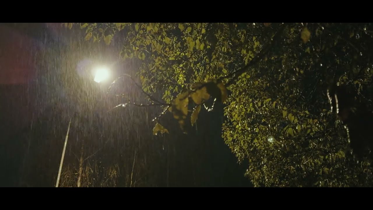 iPhone 15 Pro low light cinematic video test (foggy and rainy night in ...