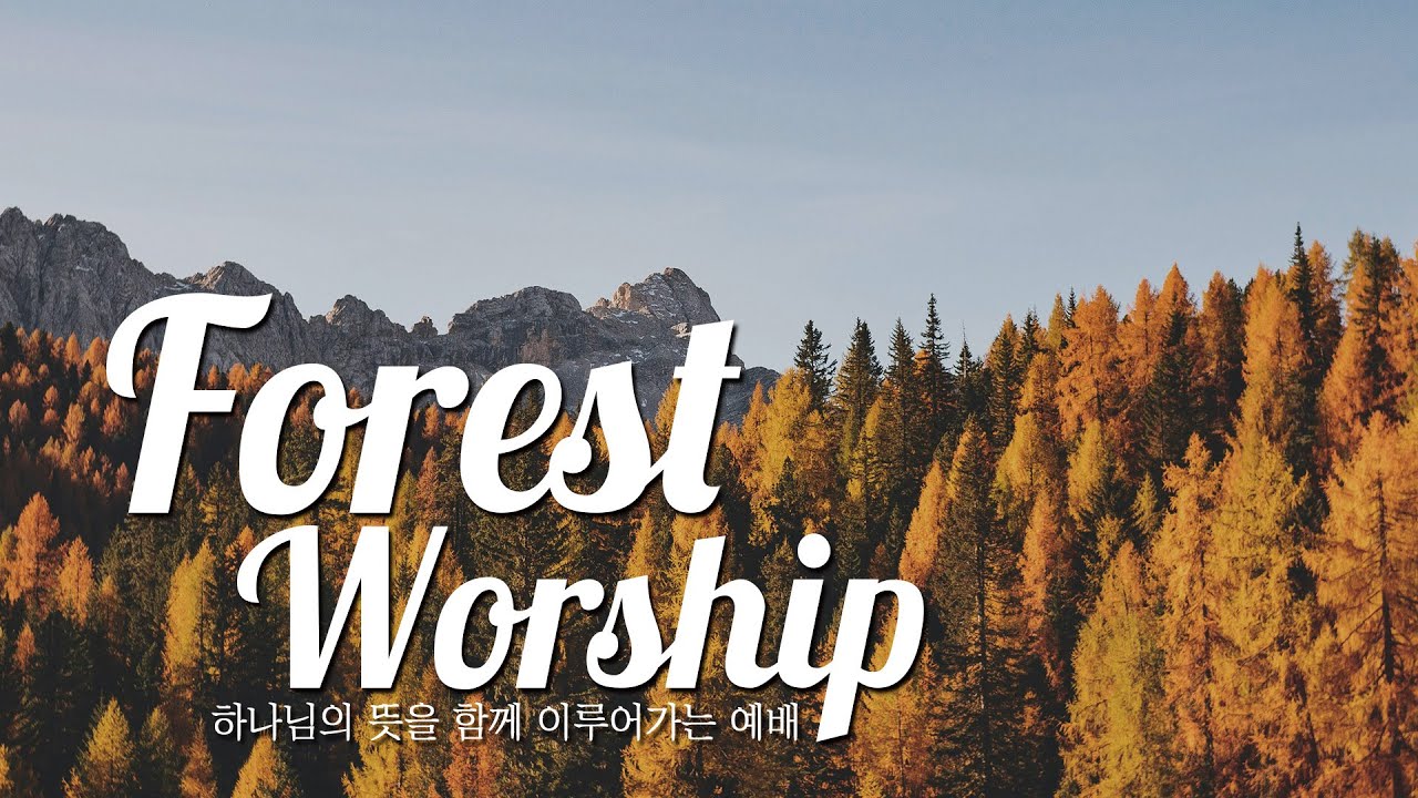 2024년 11월 15일 Forest Worship LIVE - YouTube
