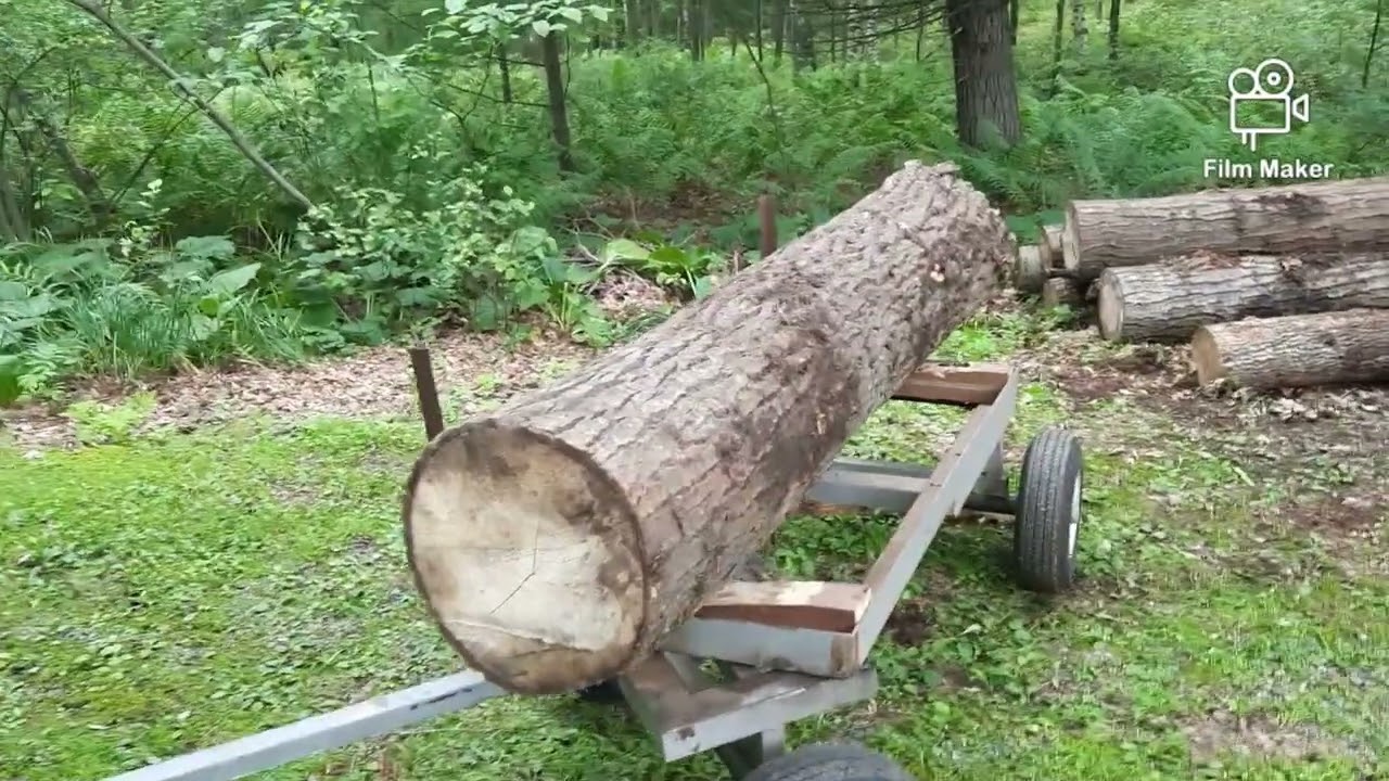 finishing up the log Cleanup. - YouTube